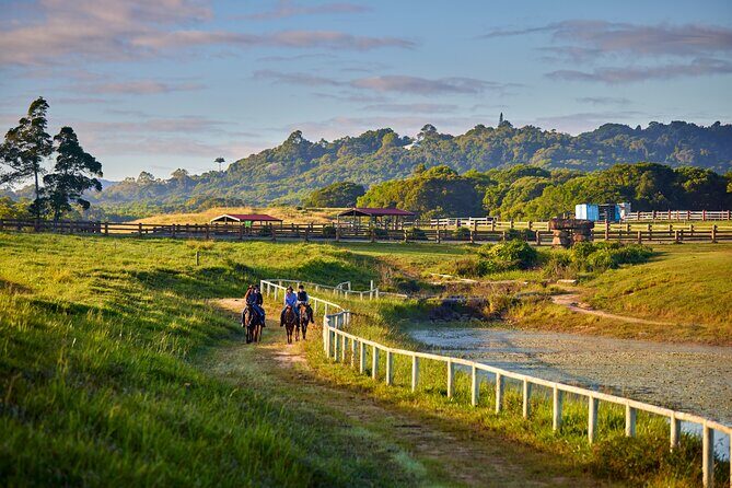Kuranda 60 minute Horse Trail Ride and Petting Farm - What You Can Expect in Detail