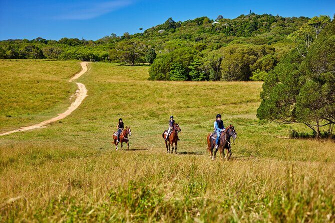 Kuranda 60 minute Horse Trail Ride and Petting Farm - Overall Value and Who It’s Best For