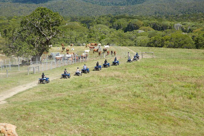 Kuranda 60 minute Quad Bike Experience and Petting Farm - Practical Tips for Visitors