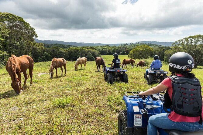 Kuranda 60 minute Quad Bike Experience and Petting Farm - Frequently Asked Questions
