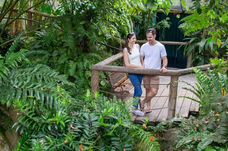 Kuranda: Australian Butterfly Sanctuary - Accessibility and Practical Details