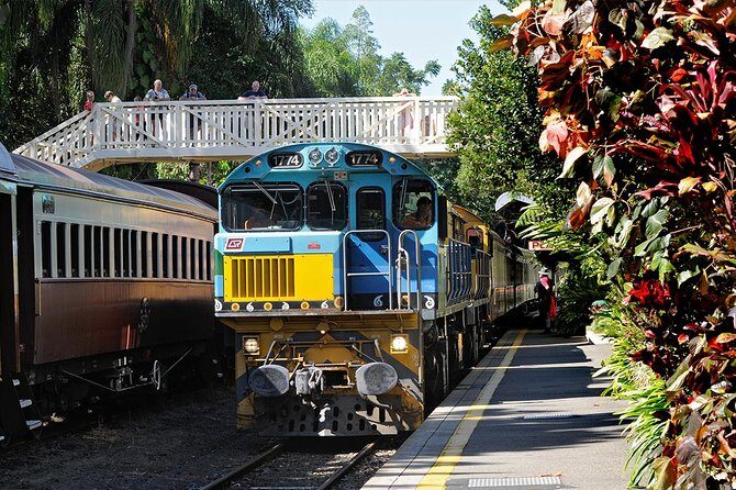 Kuranda Day Tour, TKS-RFS CLASSIC GOLD PLUS 0930 - A Deep Dive Into the Kuranda Day Tour