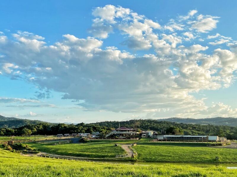 Kuranda Half Day with Petting Zoo & Horse Trail Ride Tour - Final Thoughts: Who Will Love This Experience?