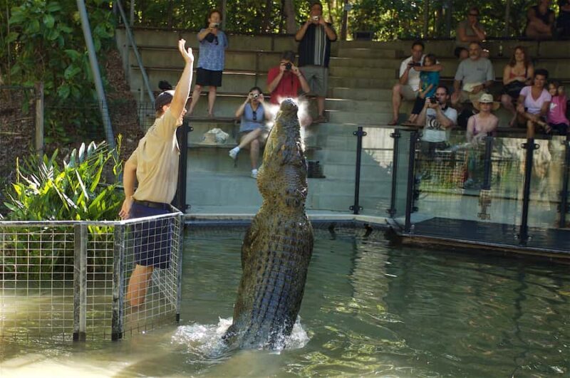Kuranda & Hartley's Crocodile Adventures - Transportation, Value, and Practical Considerations