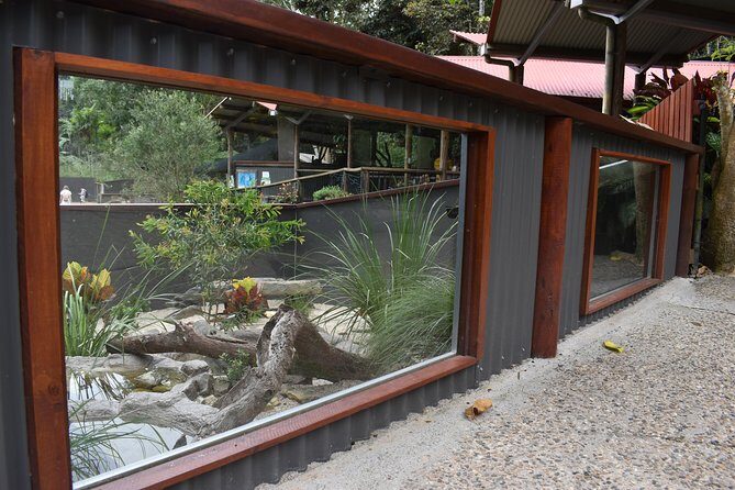 Kuranda Koala Gardens and Birdworld Admission Tickets - Key Points