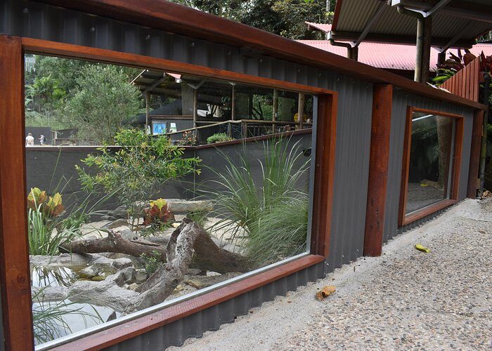 Kuranda Koala Gardens and Birdworld Admission Tickets - The Sum Up