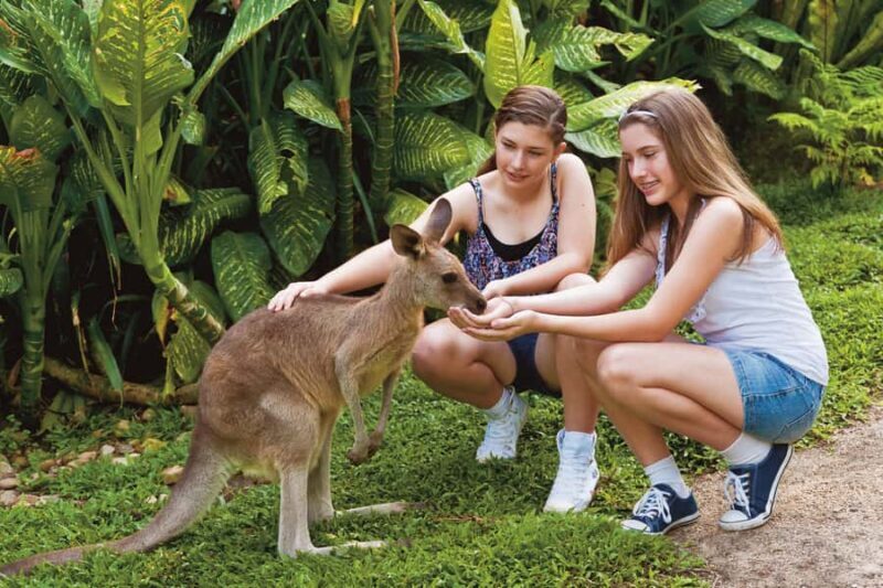 Kuranda Koala Gardens Park Entry - Key Points