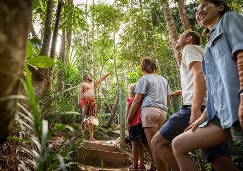 Kuranda Pamagirri Aboriginal Premium Full-Day Tour - Who Should Consider This Tour?