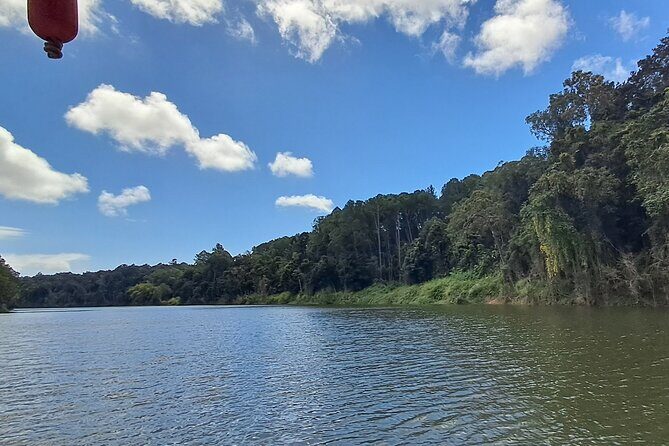 Kuranda Scenic Railway and Rainforest Station (Small Group) - Authentic Traveller Insights