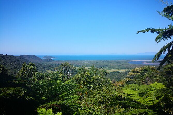 Kuranda Scenic Railway and Rainforest Station (Small Group) - The Sum Up