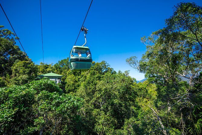 Kuranda Scenic Railway Day Trip from Palm Cove - The Cableway: Soaring Above the Rainforest