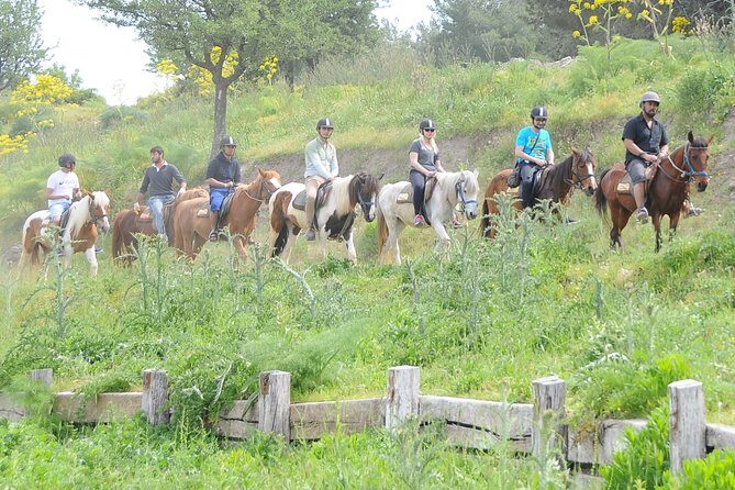 Kusadasi Horse Riding Beach and Forest options with Transfer - What to Consider Before Booking