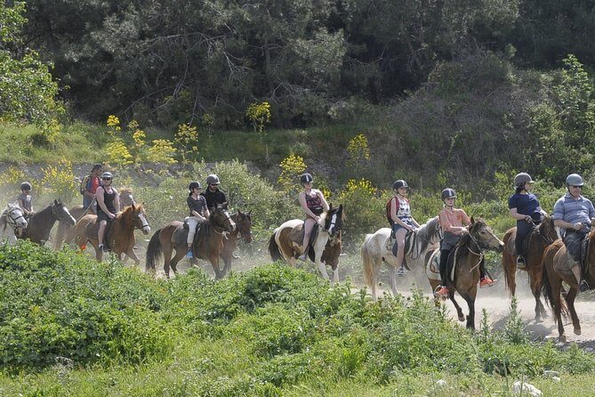 Kusadasi Horse Riding Beach and Forest options with Transfer - The Experience in Context