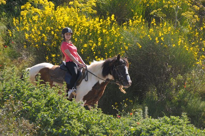 Kusadasi Horse Riding Beach and Forest options with Transfer - Final Thoughts