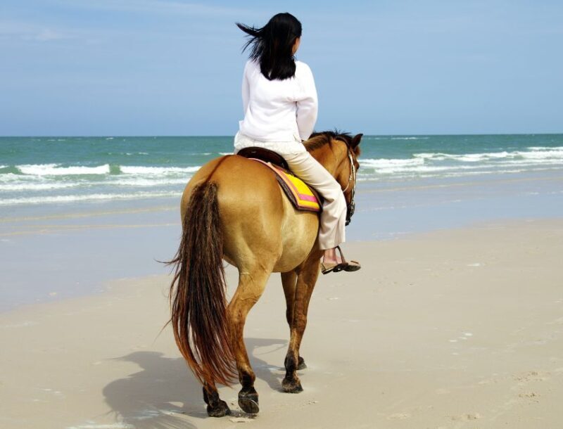 Kusadasi: Horse Riding Beach and Forest w/Transfer - FAQs