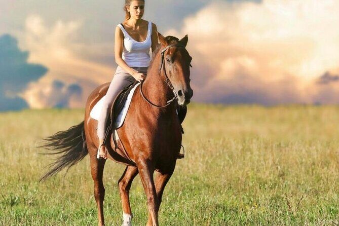 Kusadasi Horse Riding On Beach And Through The River - What to Expect from the Kusadasi Horse Riding Tour