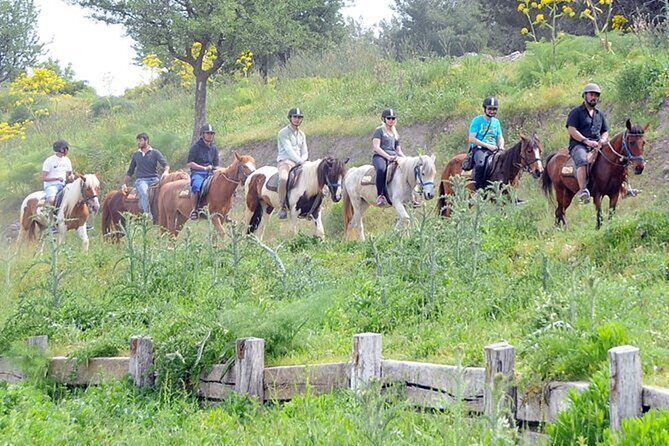 Kusadasi Horse Riding On Beach And Through The River - Who Will Enjoy This Tour?