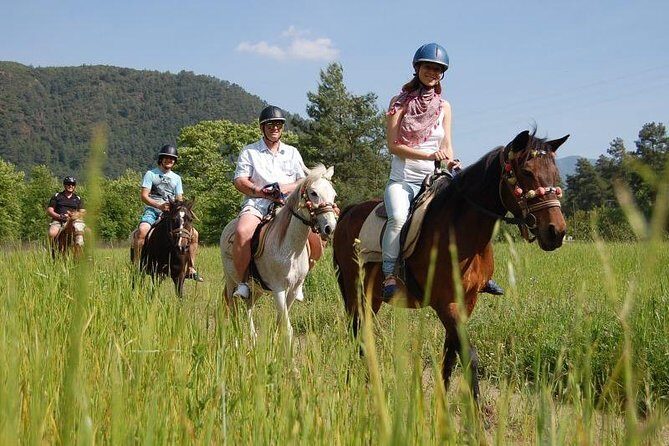 Kusadasi Horseback Riding - The Horses and the Terrain: What You Need to Know