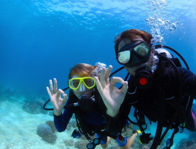 Kusadasi: Scuba Diving for Beginners w/Lunch & Transfer - An Overview of the Experience