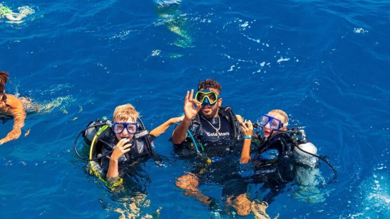Kusadasi: Scuba Diving for Beginners w/Lunch & Transfer - The Lunch and Overall Value