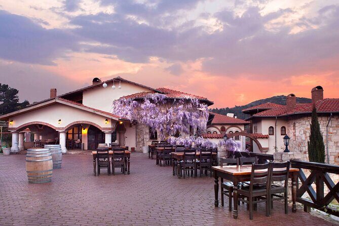 Kusadasi Shore Excursions Ephesus and Wine Tasting Tours - A Closer Look at the Tour Experience