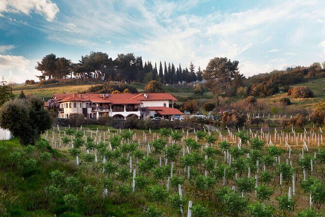 Kusadasi Shore Excursions Ephesus and Wine Tasting Tours - FAQ