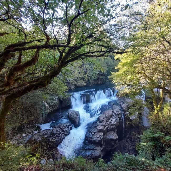 Kutaisi: Okatse-Martvili Canyons,Prometheus Cave, Waterfalls - Exploring Kutaisi’s Natural and Cultural Gems: A Complete Review of the Okatse-Martvili Canyons, Prometheus Cave & Waterfalls Tour