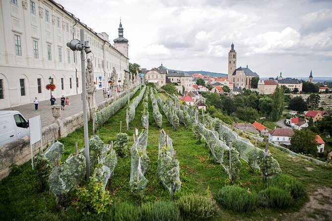 Kutná Hora UNESCO, Bone Church & Biodynamic Wine Private Tour - FAQs