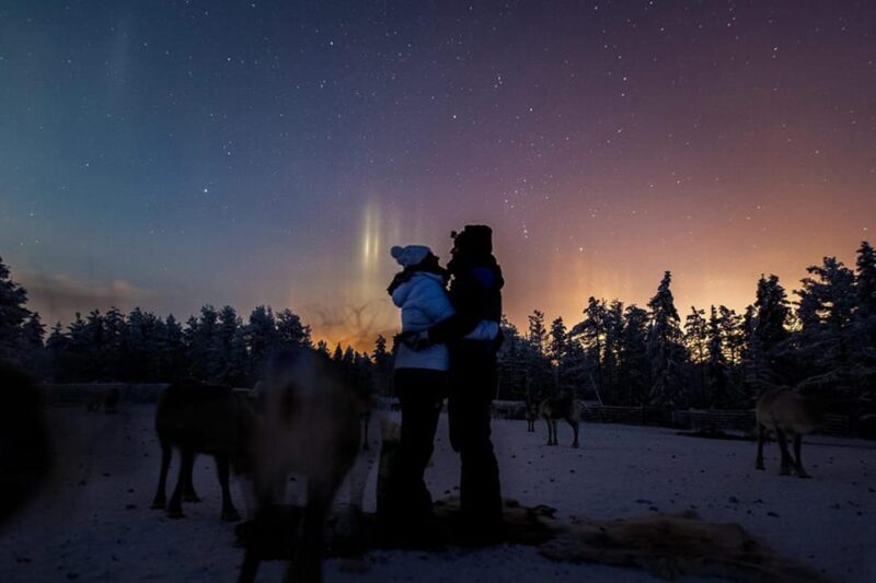 Kuusamo: Reindeer Farm Visit - An Authentic Finnish Reindeer Experience in Kuusamo