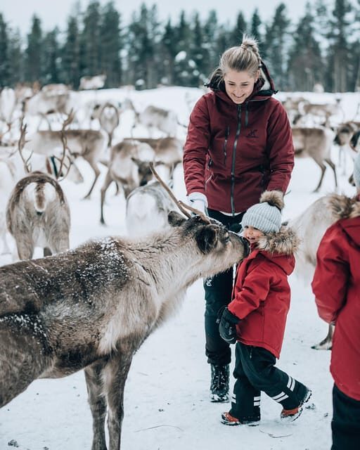 Kuusamo: Reindeer Farm Visit - Final Thoughts