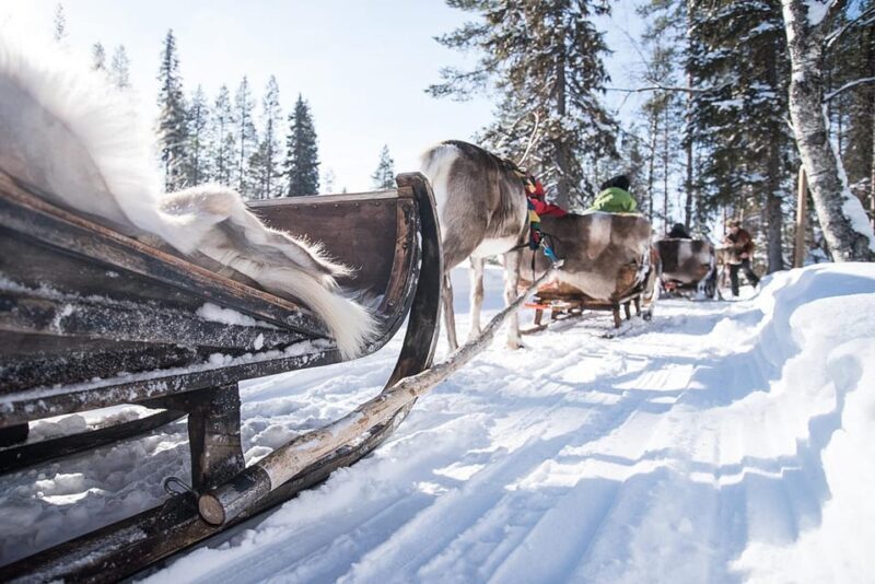 Kuusamo: Reindeer Sleigh Ride and Farm Visit - Key Points