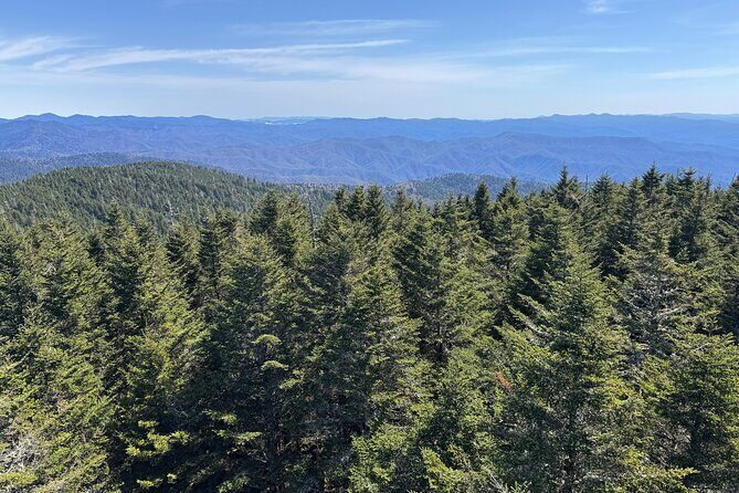 Kuwohi Mountain Great Smoky Mountains Tour - The Full Experience: A Deep Dive into the Tour Itinerary