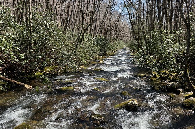 Kuwohi Mountain Great Smoky Mountains Tour - The Sum Up