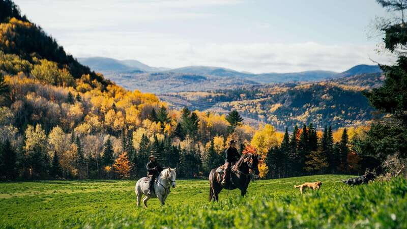 La Bleuetière: A charming introduction to horseback riding - An In-Depth Look at the Experience