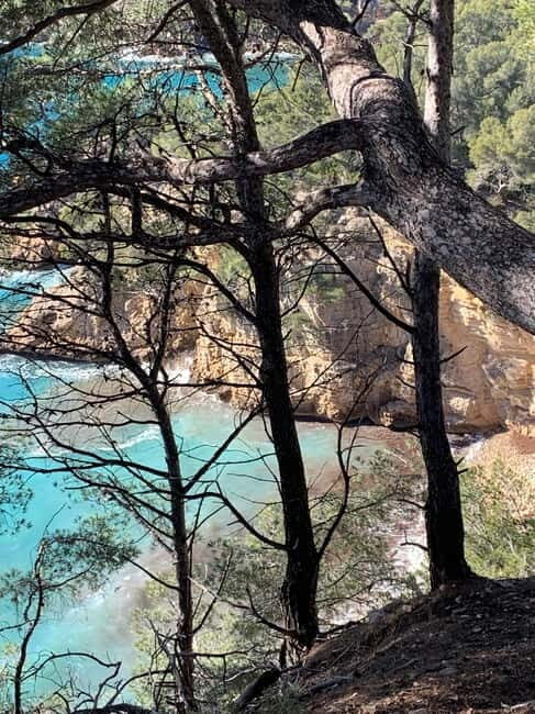 La Ciotat: Boat Tour to Cove of Var / Embiez and Snorkeling - The Value of the Experience