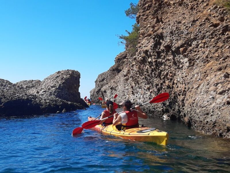 La Ciotat: Calanques National Park Guided Kayak Tour - Who Will Love This Tour?