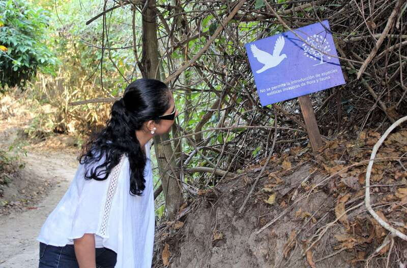 La Crucecita: Hiking and Snorkling/ Drinks and Fruits - Final Thoughts: Who Will Love This Tour?