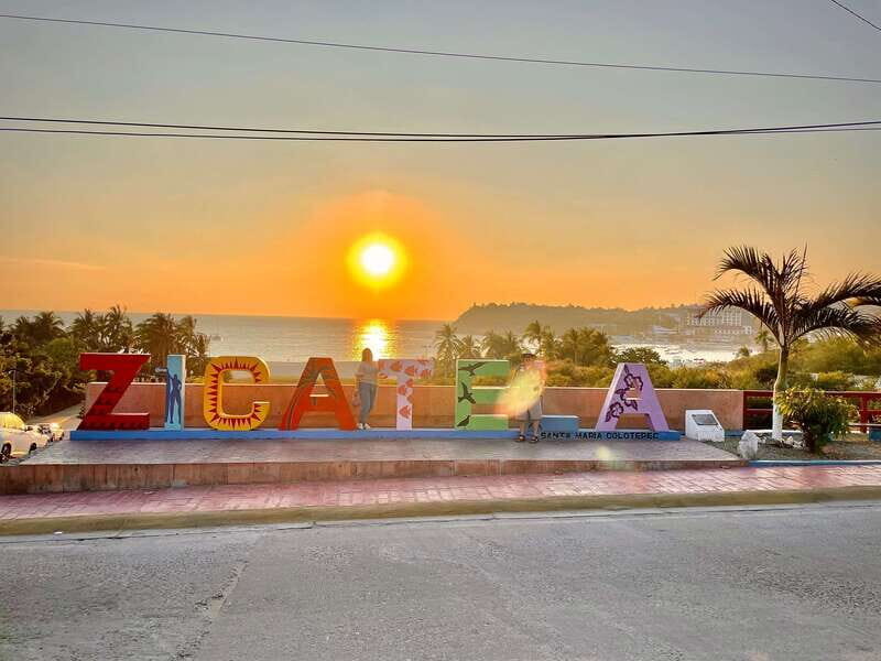 La Crucecita: Magic Lagoon Bioluminescence and Turtles Tour - A Deep Dive into the Experience