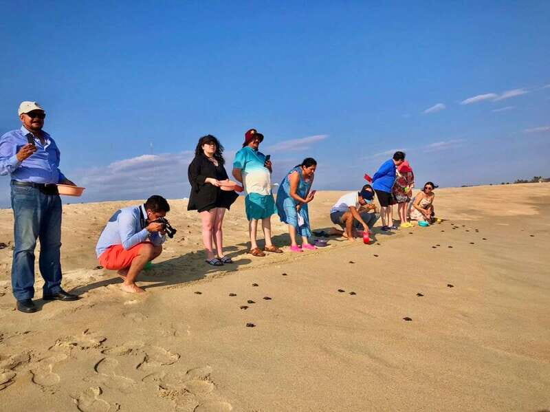 La Crucecita: Magic Lagoon Bioluminescence and Turtles Tour - Transportation and Group Size