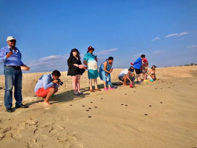 La Crucecita: Magic Lagoon Bioluminescence and Turtles Tour - Who Will Love This Tour?