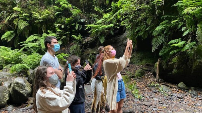 La Gomera: Garajonay National Park Entry Ticket and Tour - Authentic Insights from Reviews
