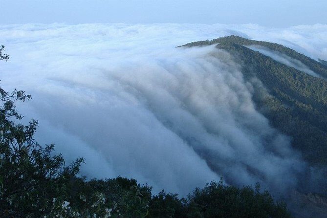 La Gomera Island Tour - The Sum Up