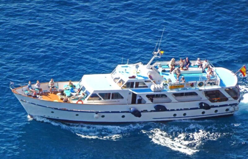 La Gomera: Whale Watching Tour on an Dynamic Boat - La Gomera: Whale Watching Tour on a Dynamic Boat