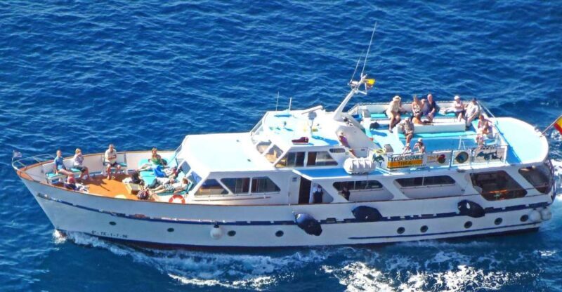 La Gomera: Whale Watching Tour on an Dynamic Boat - Key Points