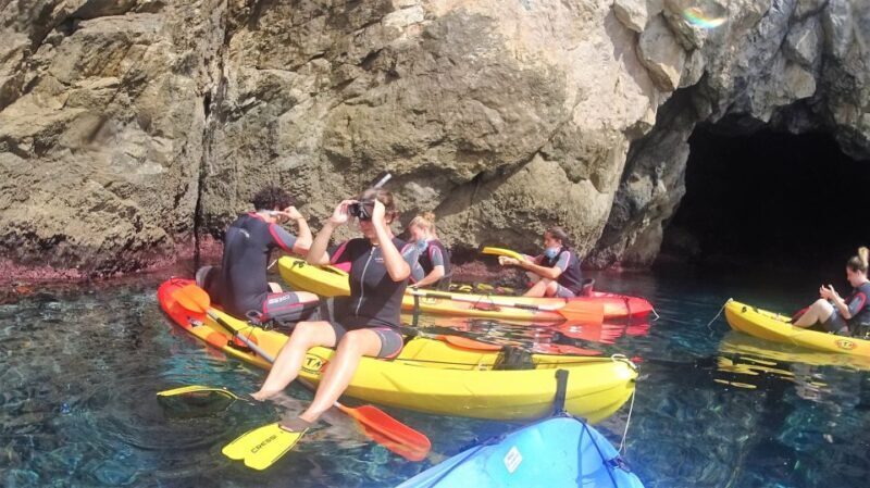 La Herradura: Cerro Gordo Natural Park Kayak & Snorkel Tour - The Marine Environment and Its Significance