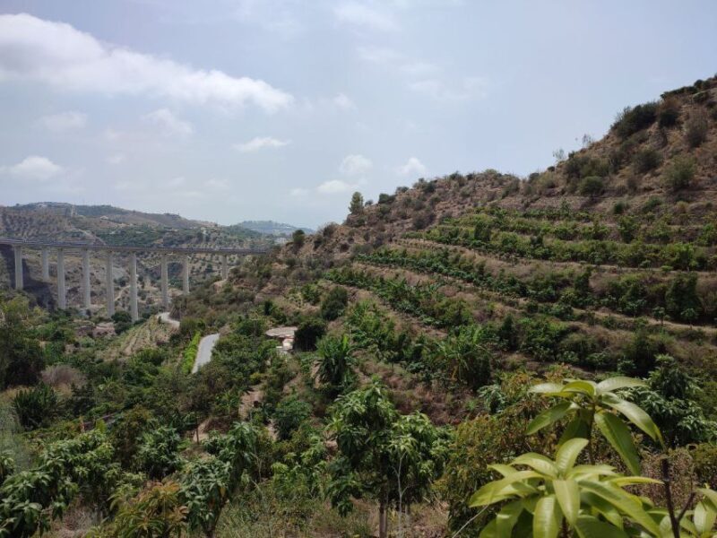 La Herradura Coffee Farm: tour in Europe's only plantation - Exploring La Herradura Coffee Farm: Europes Only Plantation