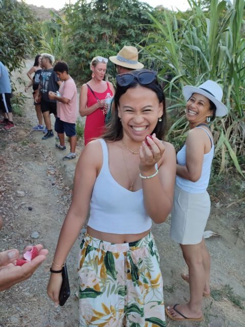 La Herradura Coffee Farm: tour in Europe's only plantation - Key Points