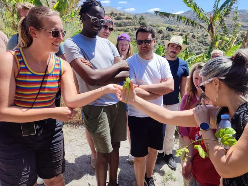 La Herradura Coffee Farm: tour in Europe's only plantation - Final Thoughts