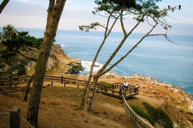 La Jolla Electric Bike Tour - An In-Depth Look at the La Jolla Electric Bike Tour