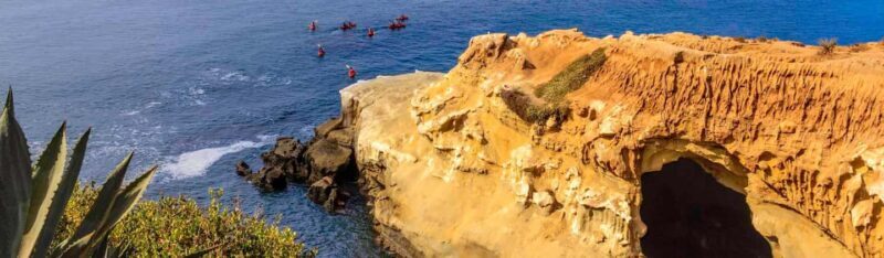 La Jolla: Full-Day Snorkel Gear Rental with Wetsuit Option - Key Points  